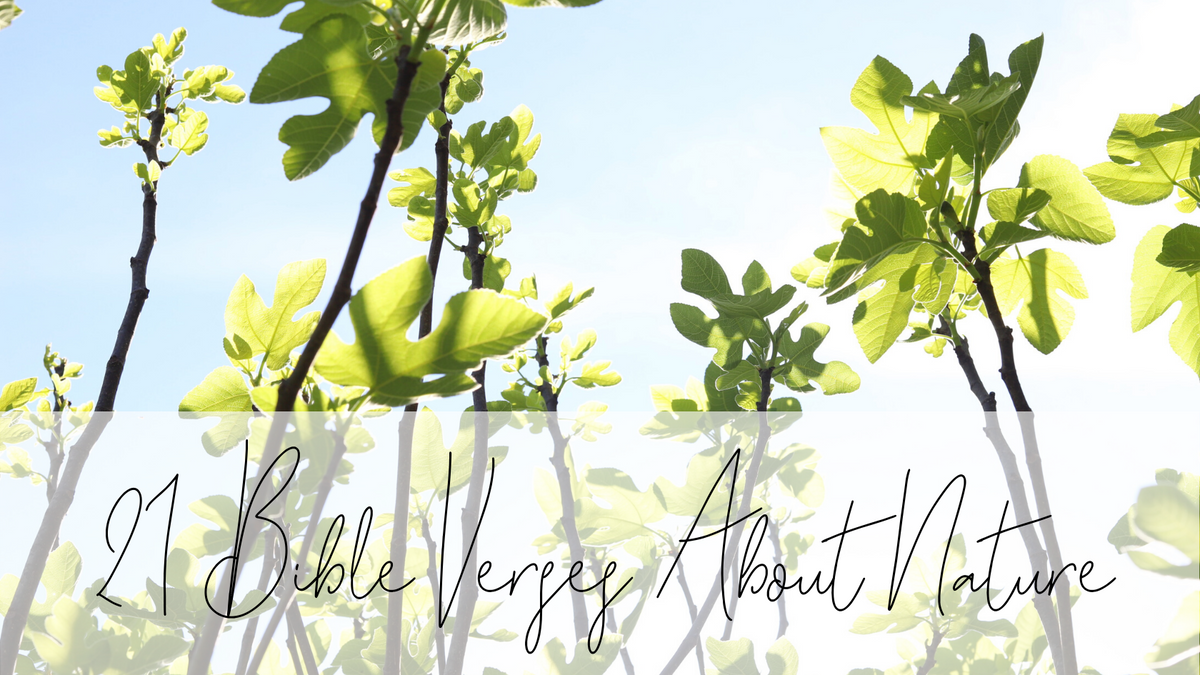 scriptures about seeing god in nature