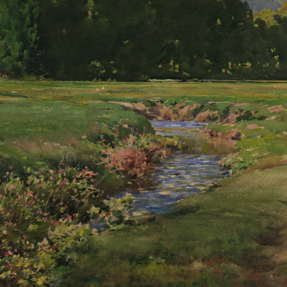 Bringing Peace Into Everyday Spaces