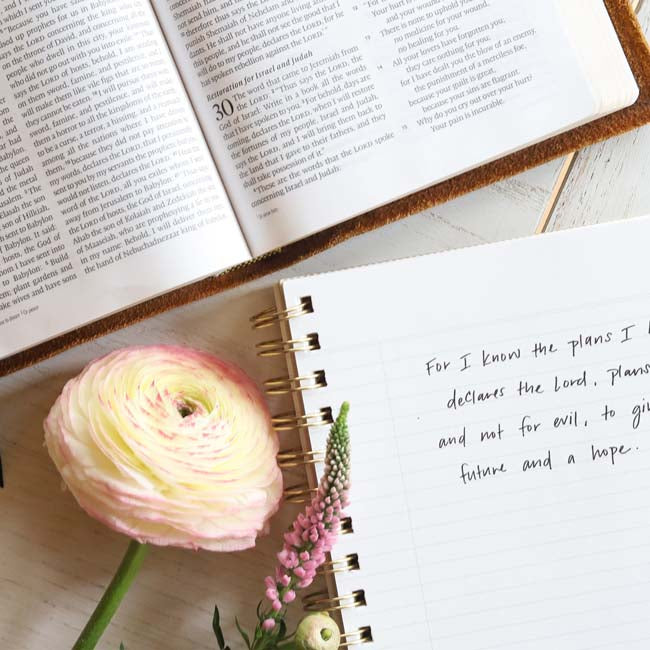 Rooted and Grounded Blog